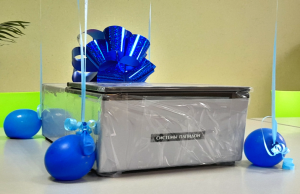 Papillon Systems – Development, implementation and maintenance of ...