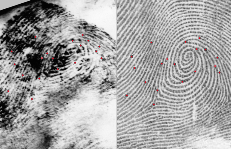 PAPILLON AFIS Multibiometric Identification System - Papillon Systems