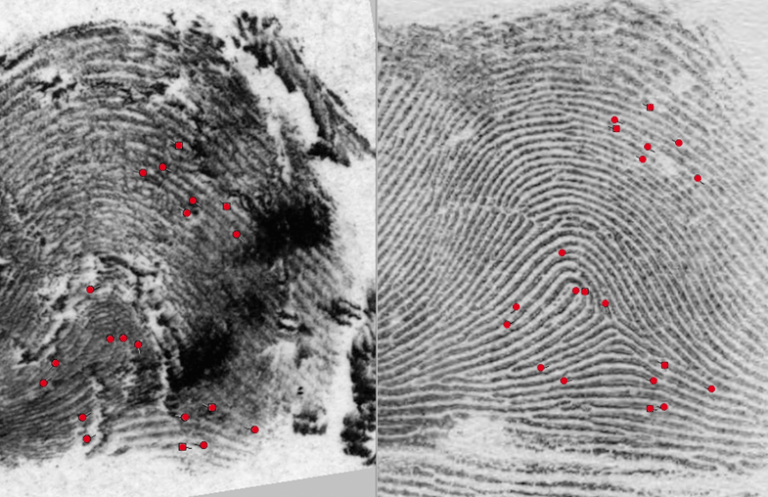 PAPILLON AFIS Multibiometric Identification System - Papillon Systems