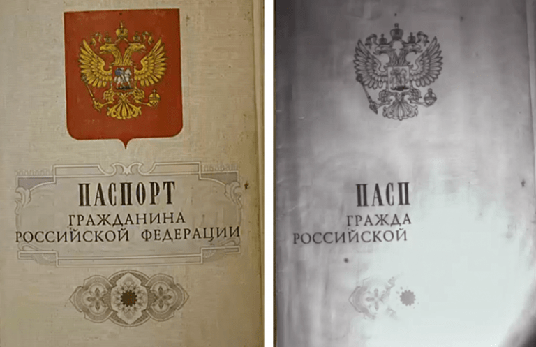 ExpertLab Universal System for Image Capture and Reproduction ...