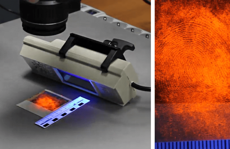 ExpertLab Universal System for Image Capture and Reproduction ...