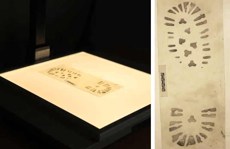 ExpertLab Universal System for Image Capture and Reproduction ...