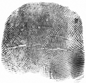 PAPILLON advantages in imaging finger and palm prints – Papillon Systems